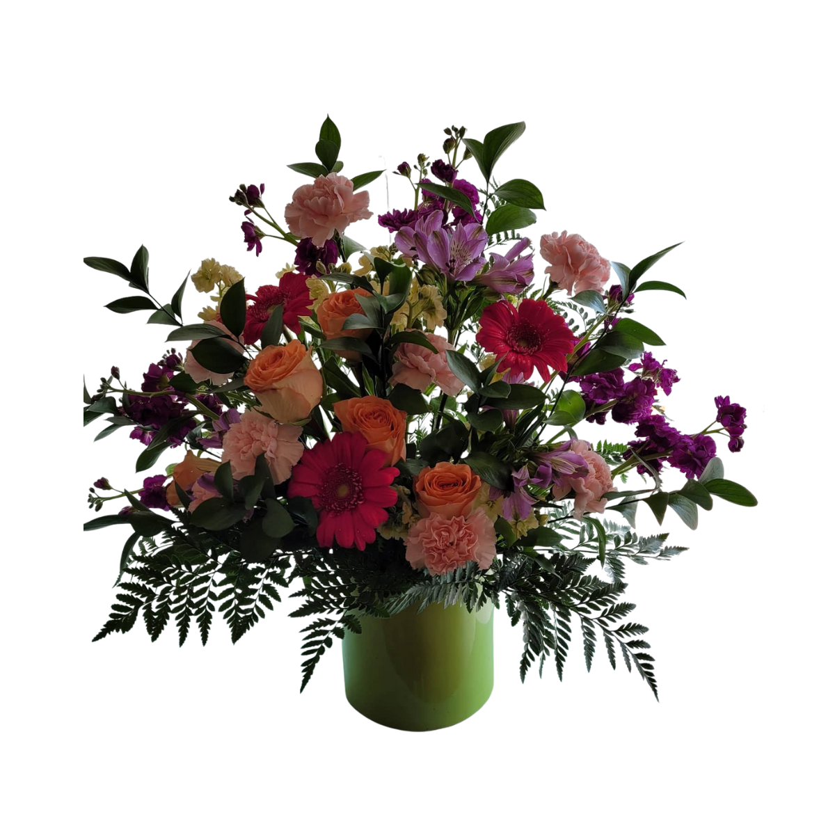 Indiana – Dufferin Blooms